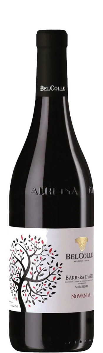 Nuwanda Barbera d'Asti superiore DOCG 2022 – Ghidossi Wine Group